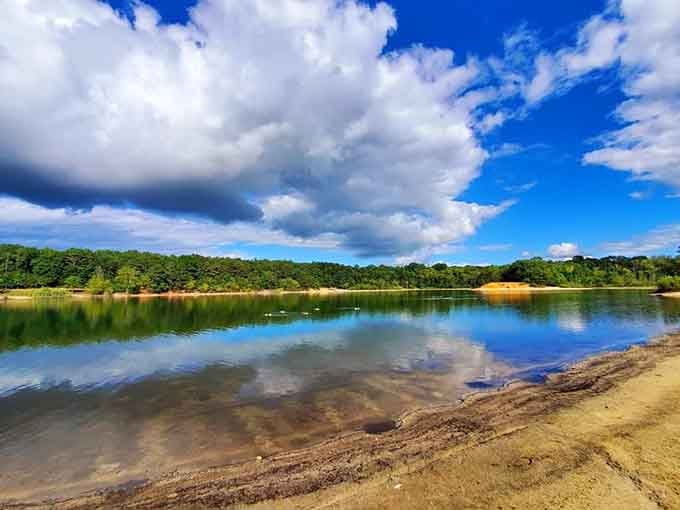 This peaceful lake at the park is where retirees come to contemplate life's big questions, like lunch.