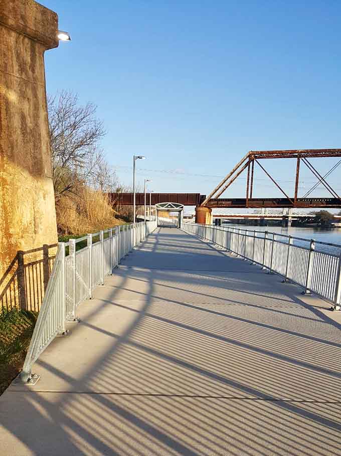 Those shadows create natural artwork on the path, turning your afternoon stroll into an impromptu gallery visit.