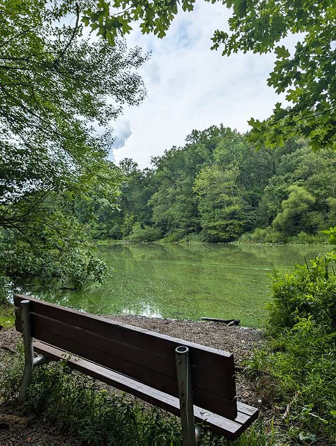 Sometimes the best seat in the house is a simple bench overlooking water that's been here longer than we have.