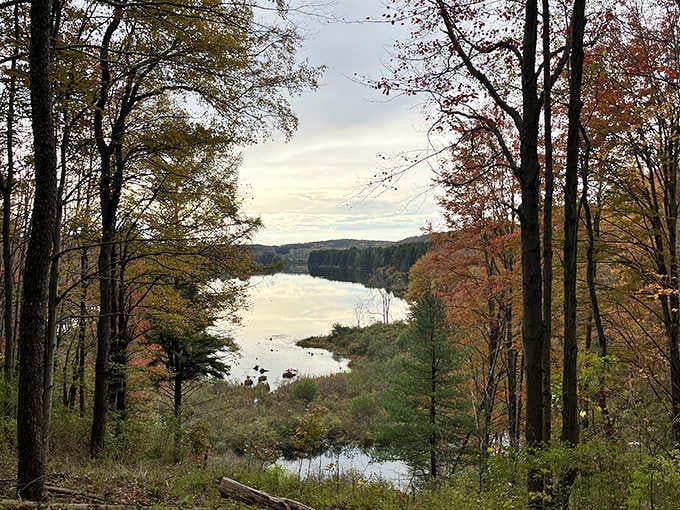 Hills Creek State Park offers water views that'll make you forget your phone exists, at least for a few minutes.