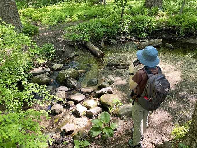 Stone-hopping across babbling brooks is basically the adult version of avoiding sidewalk cracks, and just as satisfying too.