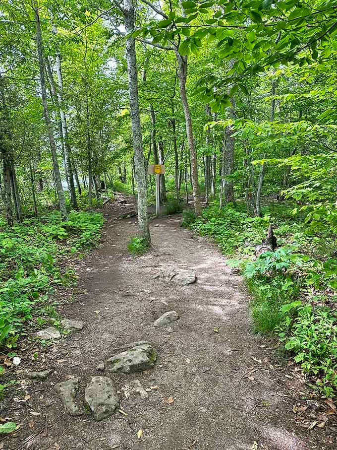 Forest trails that look like they belong in a fairy tale, minus the breadcrumbs and witch.