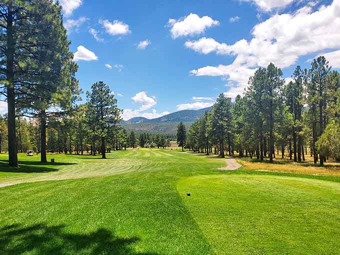 Elephant Rocks Golf Course stretches across emerald fairways framed by towering pines and mountain views that make missing your putt almost forgivable. Almost.