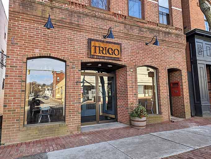 Trigo's brick facade promises wood-fired pizza that'll make you forget every chain restaurant you've ever reluctantly visited.
