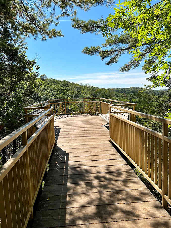 Wooden observation decks offering front-row seats to Wisconsin's natural theater, no ticket required for this show.