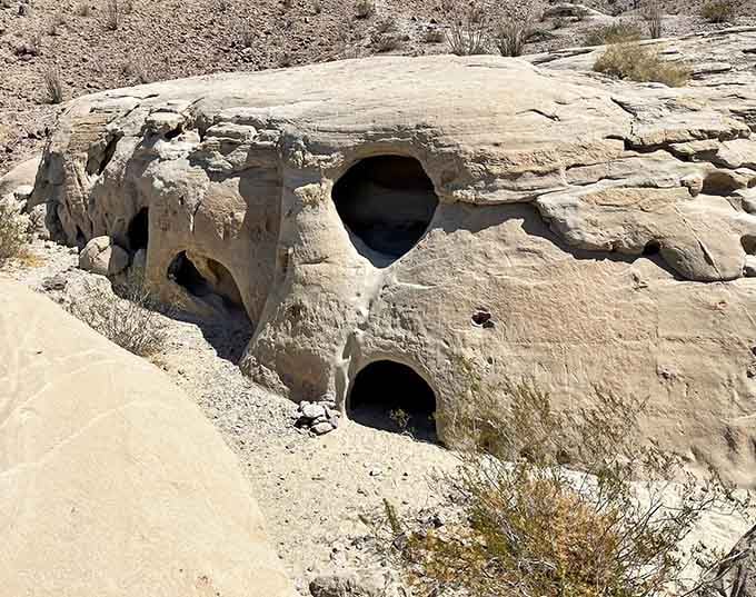 Wind-carved openings create natural windows that frame the desert better than any Instagram filter ever could.