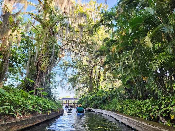 Gliding through tunnels of green where the only traffic jam involves deciding which view to photograph first.