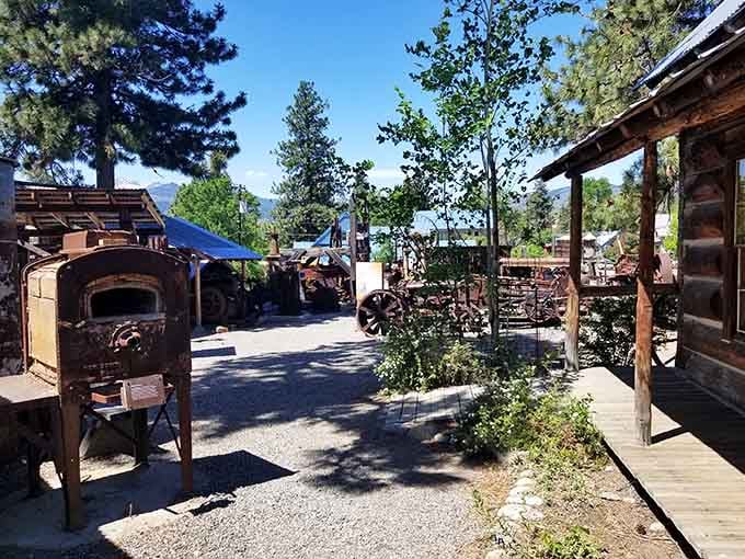 The Shafer Museum preserves Winthrop's frontier past with authentic buildings and equipment that actually saw real work, not just tourists.