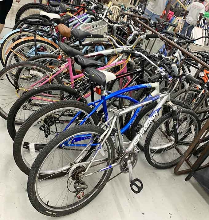 A rainbow of bicycles ready to roll into their next adventure, possibly with you pedaling toward sunset.