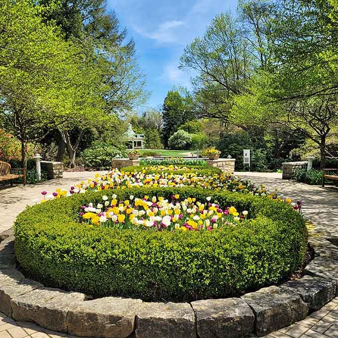 Fellows Riverside Gardens bursts with color, proving that beauty doesn't require a trust fund or coastal zip code.