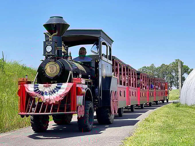 The patriotic bunting on this miniature locomotive adds festive charm that would make any Fourth of July parade jealous.