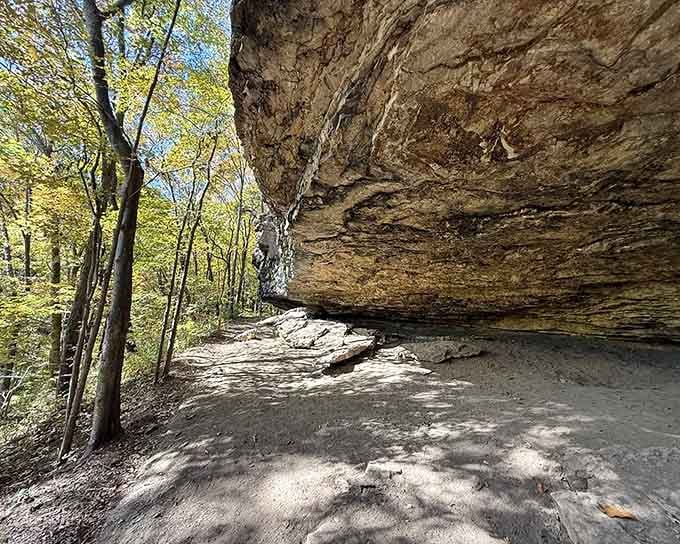 Ancient stone layers curve overhead like geological layer cake, showcasing millions of years in a single stunning view.