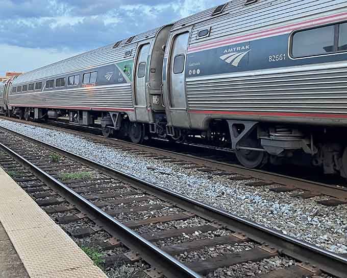 Modern Amtrak coaches gleam with that distinctive metallic shine, proving train travel still beats sitting in bumper-to-bumper highway traffic.