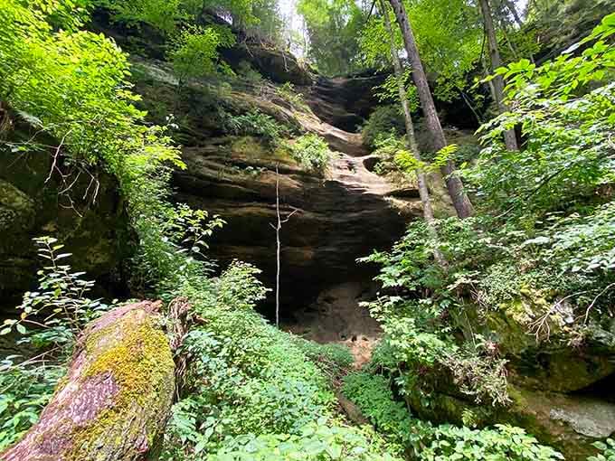 Ferns cling to the cliff walls while a rope dangles mysteriously, adding drama to this verdant scene.