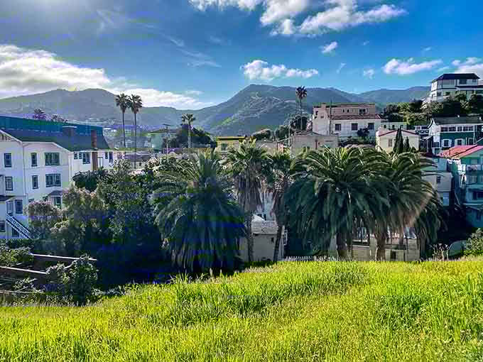 White buildings with red tile roofs tumble down to a turquoise harbor that looks too perfect to be real.