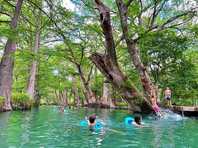 Bright blue inner tubes float beneath ancient cypress trees, where spring-fed waters promise the perfect summer escape.