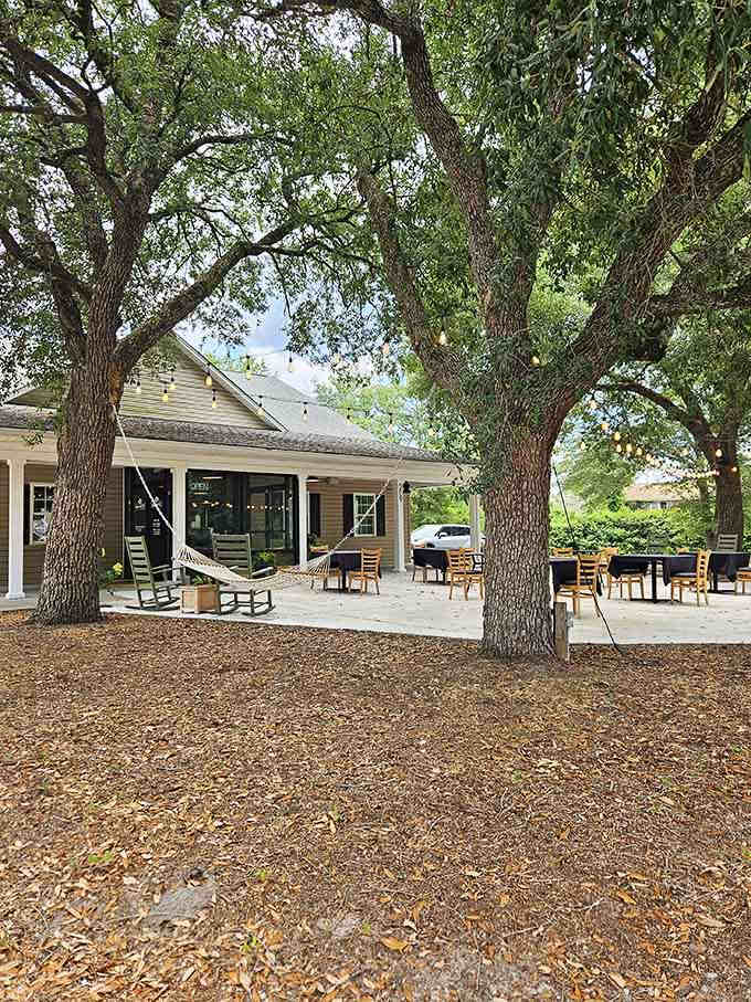 Those ancient oaks have witnessed countless celebrations, shading diners like nature's own air conditioning since forever.