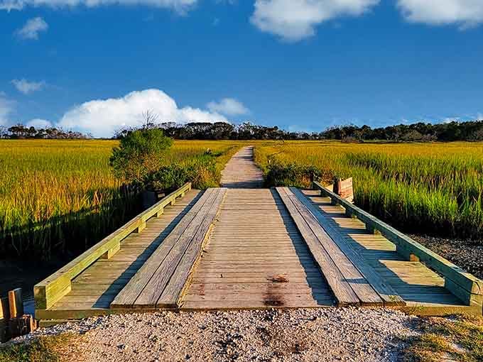 A wooden boardwalk leads through golden marshland like a pathway to heaven, stretching toward the distant horizon.