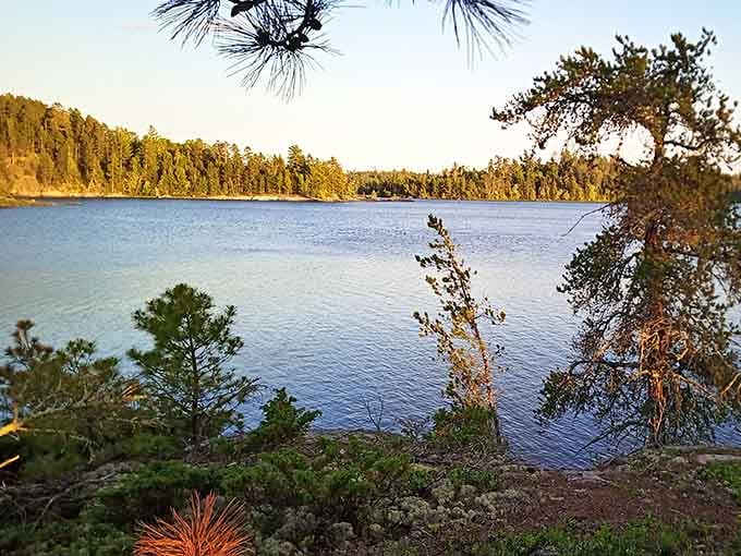 Golden hour bathes the pristine lake in warm light as pine trees stand watch.