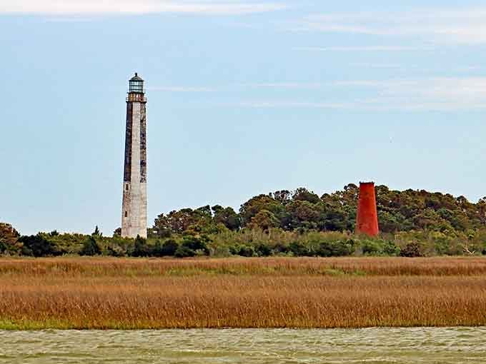 Two towers rise from golden marshland like sentinels from different eras, creating a photographer's dream landscape.