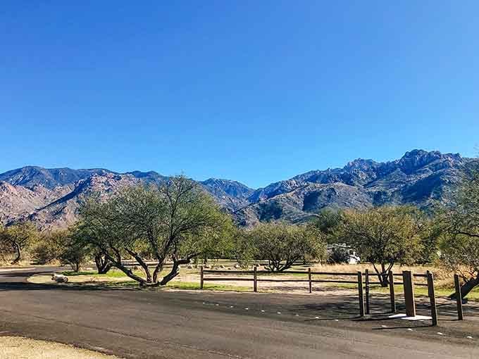 Morning light bathes these peaceful picnic grounds where mountain peaks provide the most dramatic backdrop for your lunch.