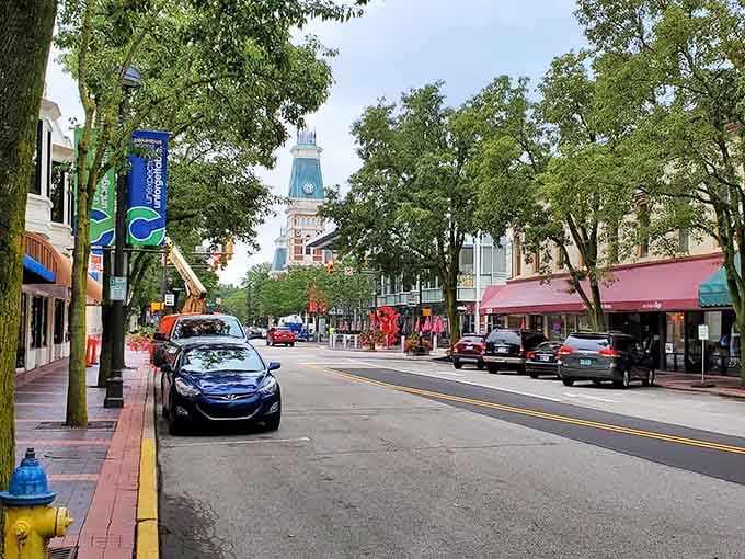 Tree-canopied streets frame a distant clock tower like nature's own picture frame for small-town beauty.
