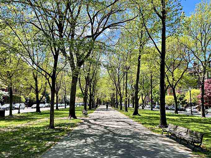 Tree-lined promenades like this make you want to stroll slowly and pretend you're in Paris.