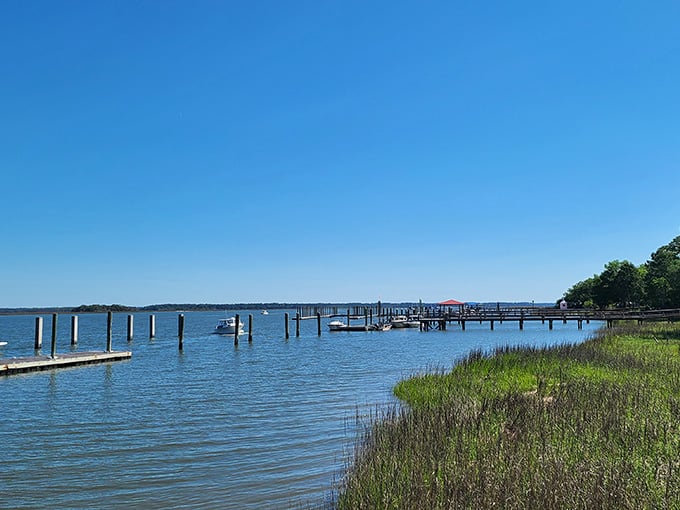 Wooden docks stretch into calm blue waters where marsh grass sways like nature's own welcome committee.