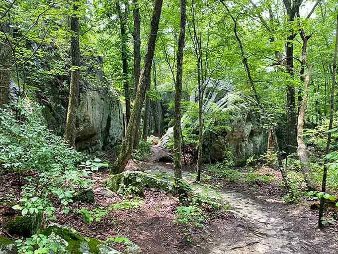 Forest trails wind between towering rocks, inviting you to explore nature's hidden corners at your own pace.