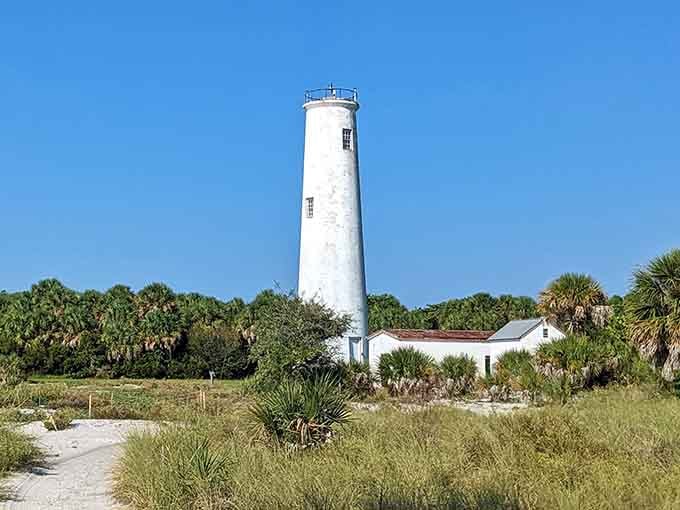 Wild coastal vegetation frames the white tower, showing how nature and human engineering can coexist in perfect harmony here.