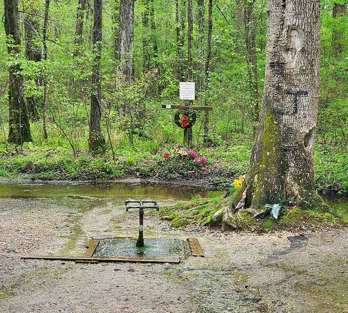 Fresh spring water flows endlessly here, drawing visitors seeking peace and perhaps a little miracle.