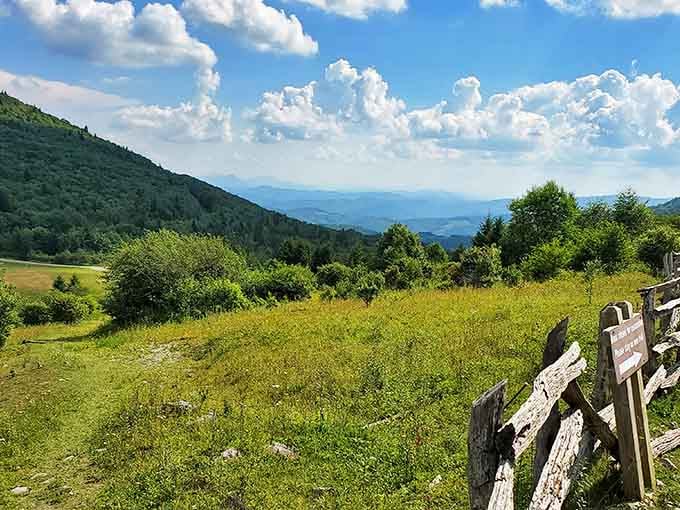 Golden wildflower meadows stretch toward blue mountain ridges, creating a vista so perfect it belongs on a jigsaw puzzle box.