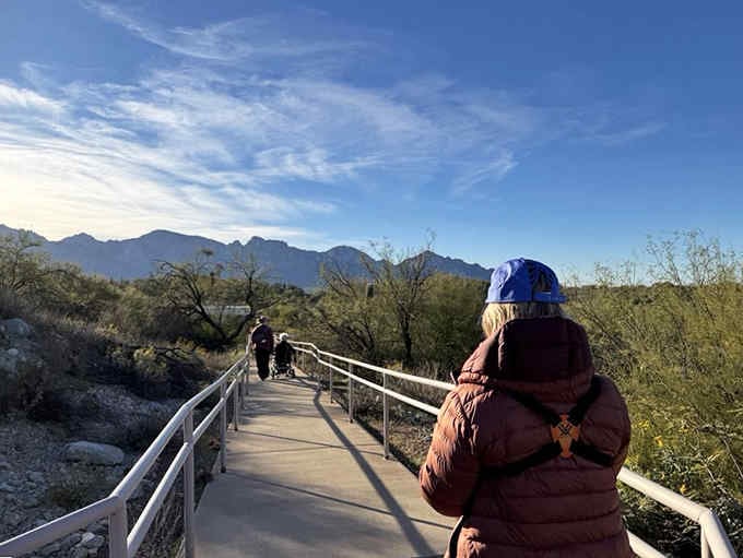 This wooden boardwalk leads through pristine desert, where every step brings you closer to wilderness magic.