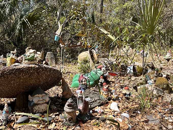 Tiny fairy houses nestle among the forest floor like a miniature neighborhood for woodland sprites and dreamers.