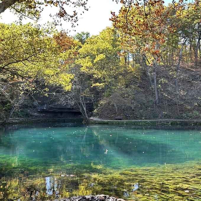 This turquoise pool looks like someone dropped a piece of the Caribbean into the Ozarks and forgot to tell anyone.