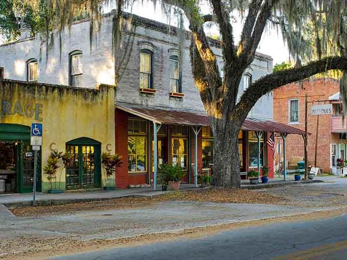 Spanish moss drapes these historic storefronts like nature's own decorations for a timeless Main Street.