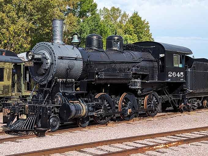 This magnificent black steam locomotive, with its polished brass and intricate mechanical details, commands absolute respect and admiration.