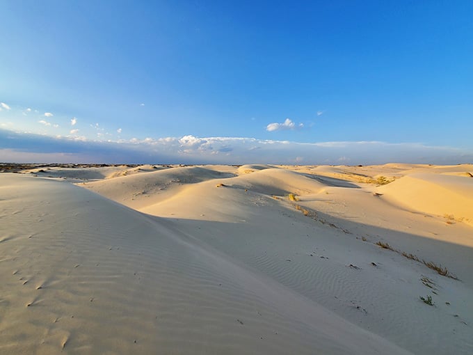 Golden dunes roll toward the horizon like waves frozen mid-crash, waiting for adventurous souls with sand discs.