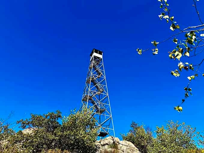 That fire tower piercing the brilliant blue sky promises views that'll make your climbing effort feel absolutely worthwhile.
