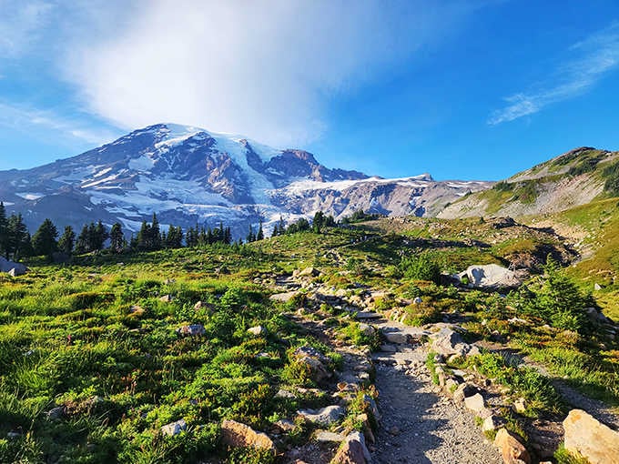That massive glaciated peak commands attention like nature's own cathedral rising above the wildflower meadows below.
