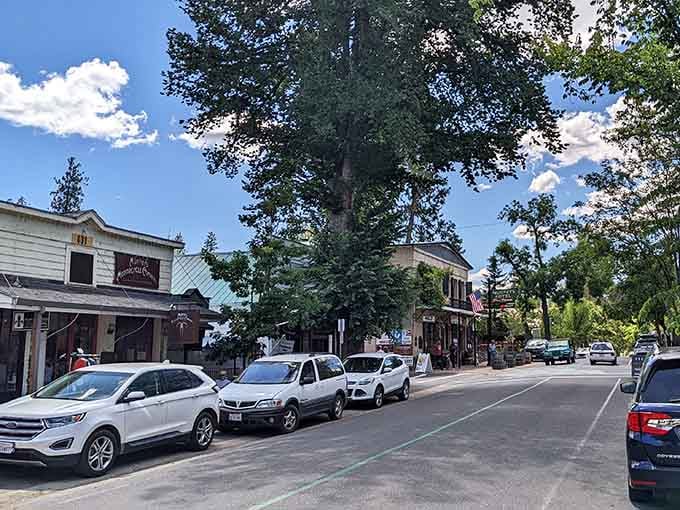 Towering trees shade this peaceful main street where vintage buildings house modern businesses in perfect historic harmony and balance.