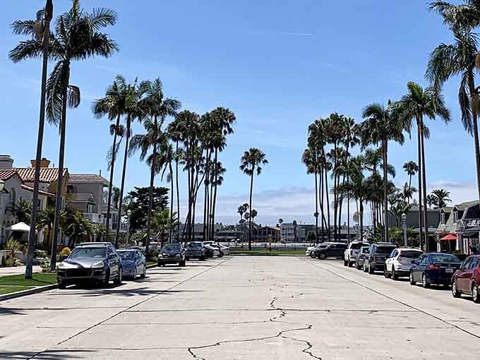 Those towering palms lining the street create a natural cathedral leading straight to waterfront bliss and sunshine.