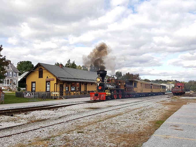 Puffing smoke and pulling vintage cars, this golden-era locomotive delivers pure nostalgia with every chug down the track.