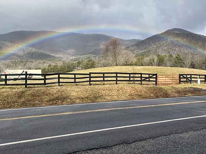A brilliant rainbow stretches over mountain pastures, with nature showing off at its finest.