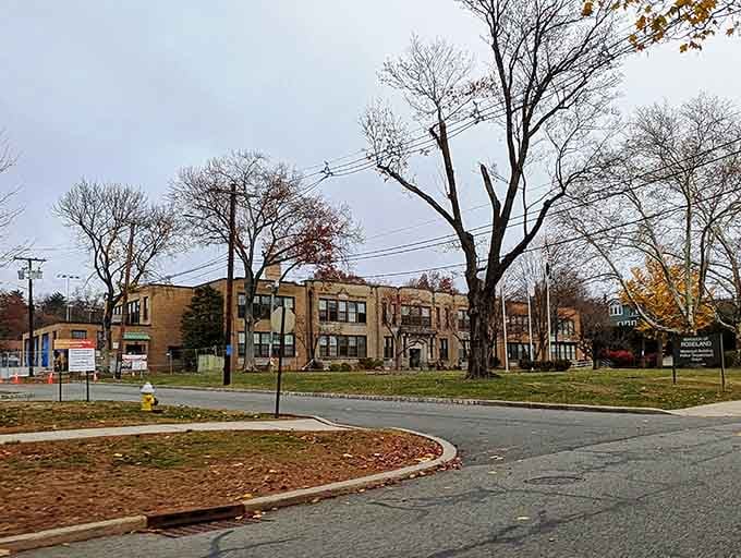Bare winter trees frame the town square, revealing the solid bones of a community built to last.