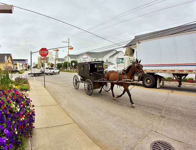 When horse-drawn buggies share the road with modern traffic, you know you've found somewhere genuinely special.