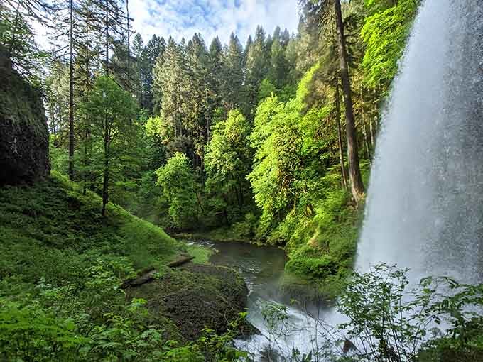 Moss-covered rocks and emerald ferns surround this cascading waterfall, creating a scene straight from a fairy tale book.