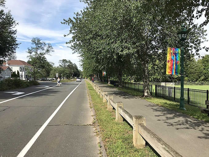 Tree canopy creates a natural tunnel along this peaceful street where community spirit thrives year-round.