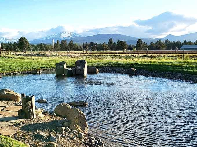 Morning light hits those distant summits while water trickles past ancient stones, creating the kind of scene that makes you forget your to-do list.