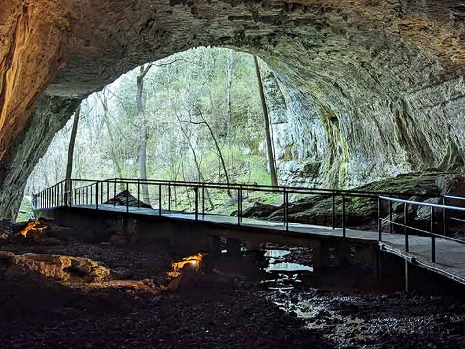 Looking out from inside this massive cave mouth feels like peering through nature's own picture window into the green world.